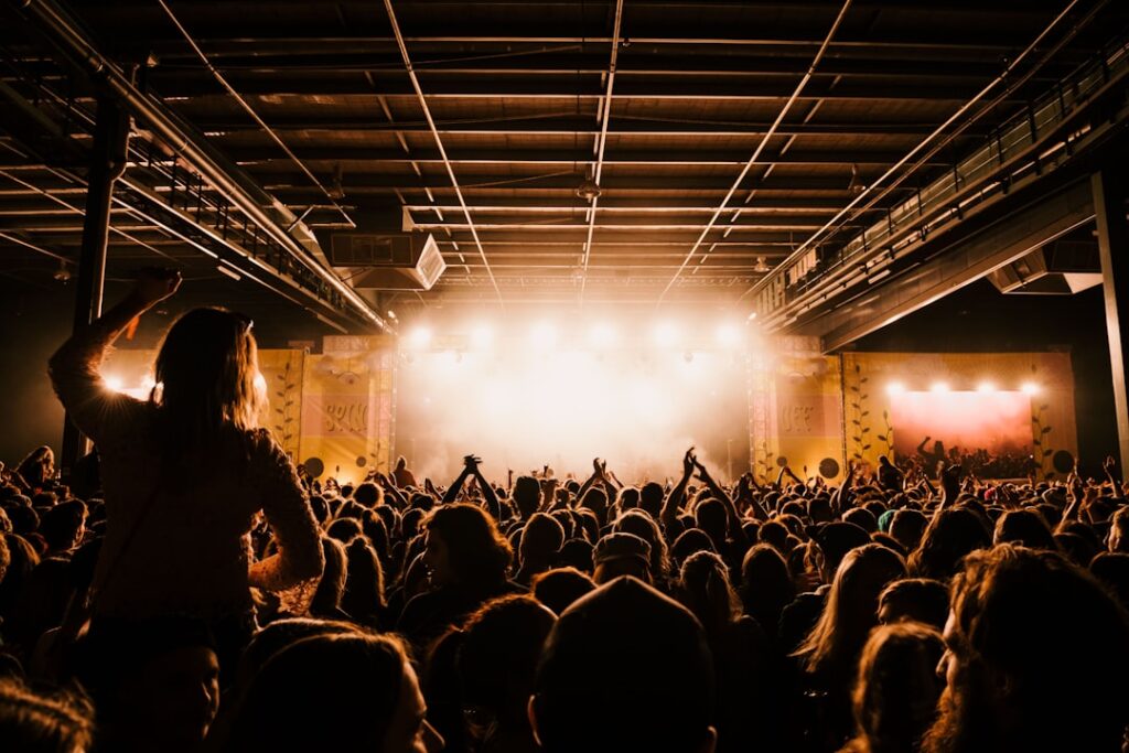 The Evolution of Techno Festivals Over the Years